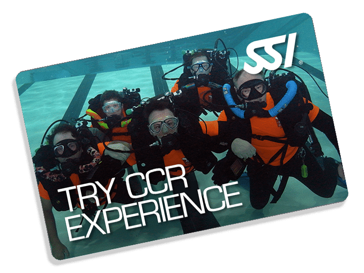 CCR Experience - Harry’s Dive Shop